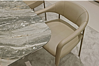 Spider Dining Chair Quickship by Gamma Arredamenti | room service 360°